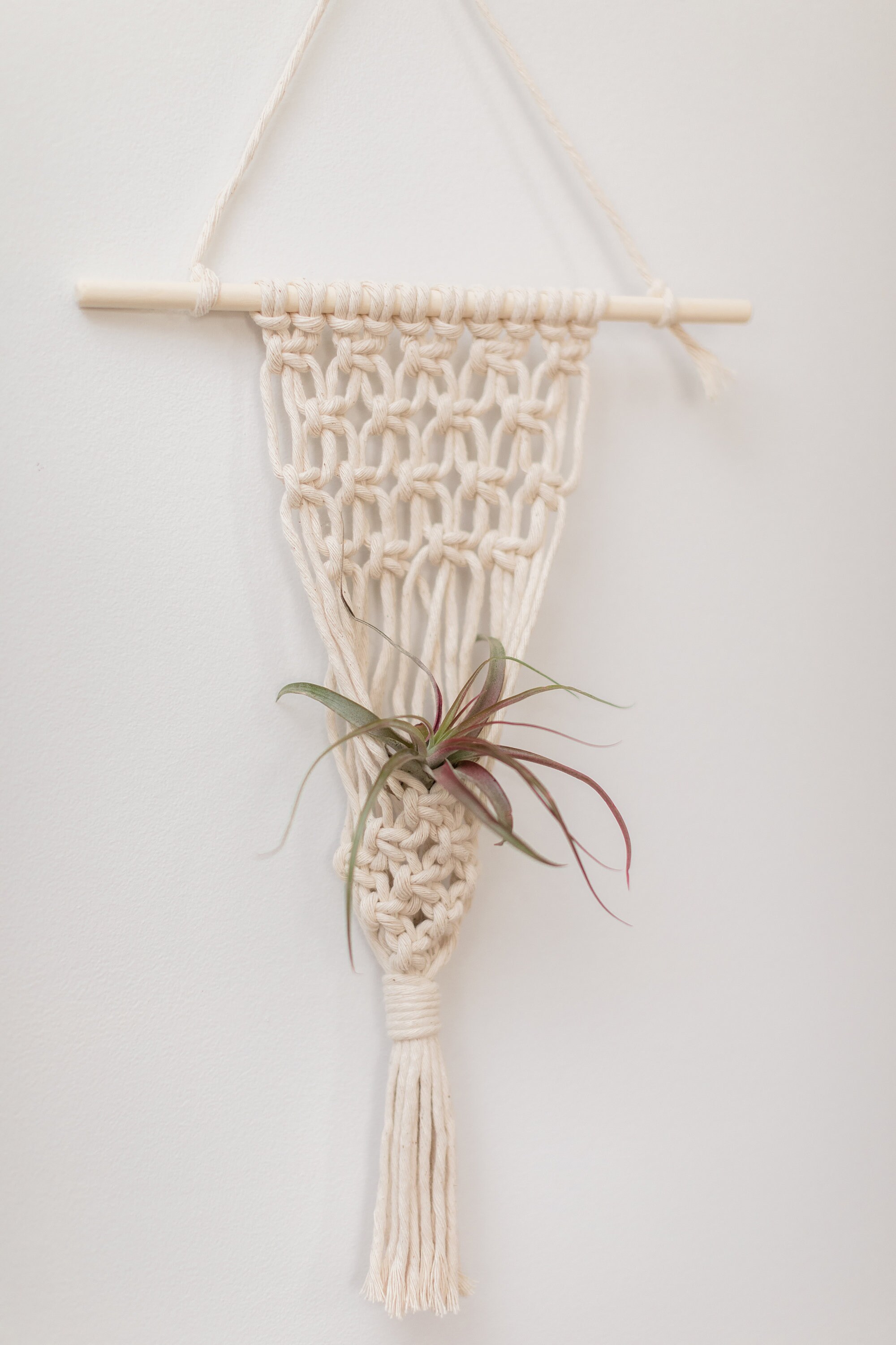 Air Plant Hanger Macrame Air Plant Hanger Macrame Airplant | Etsy