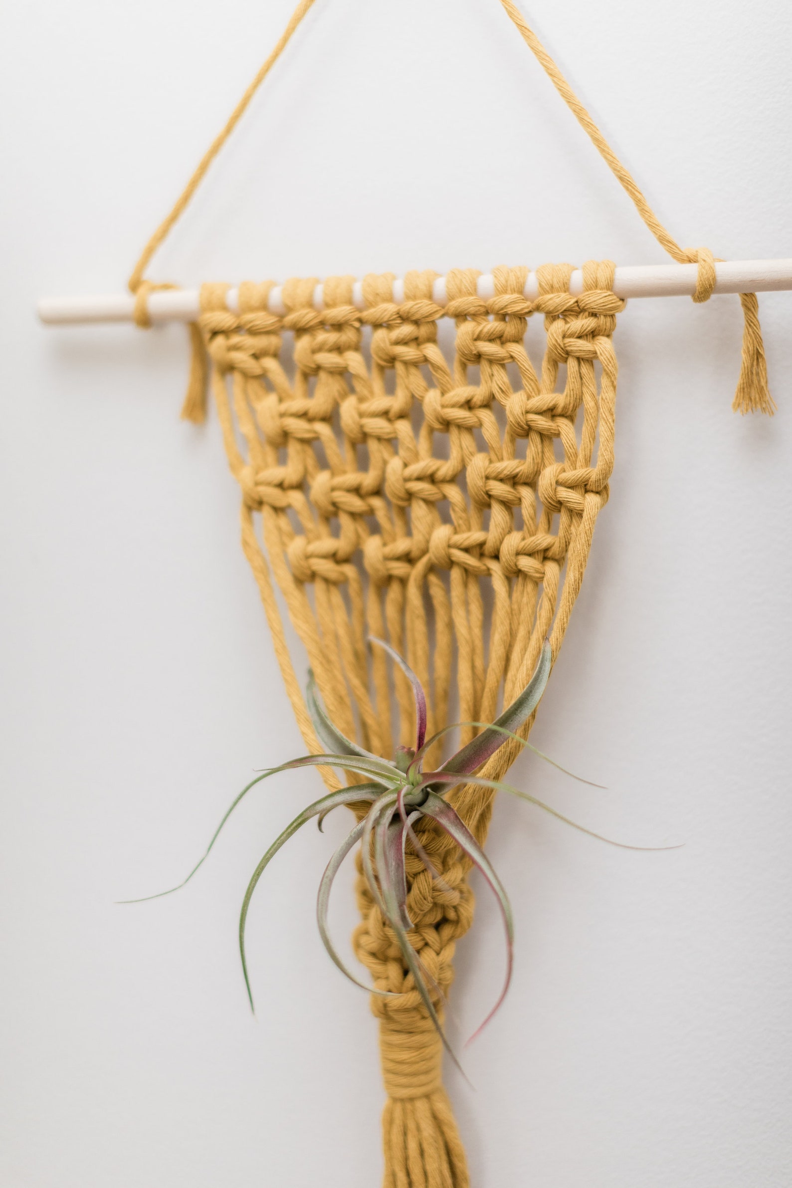 Air Plant Hanger Macrame Air Plant Hanger Macrame Airplants - Etsy