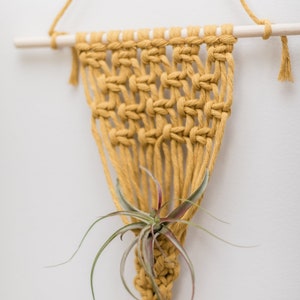Air Plant Hanger Macrame Air Plant Hanger Macrame Airplants - Etsy