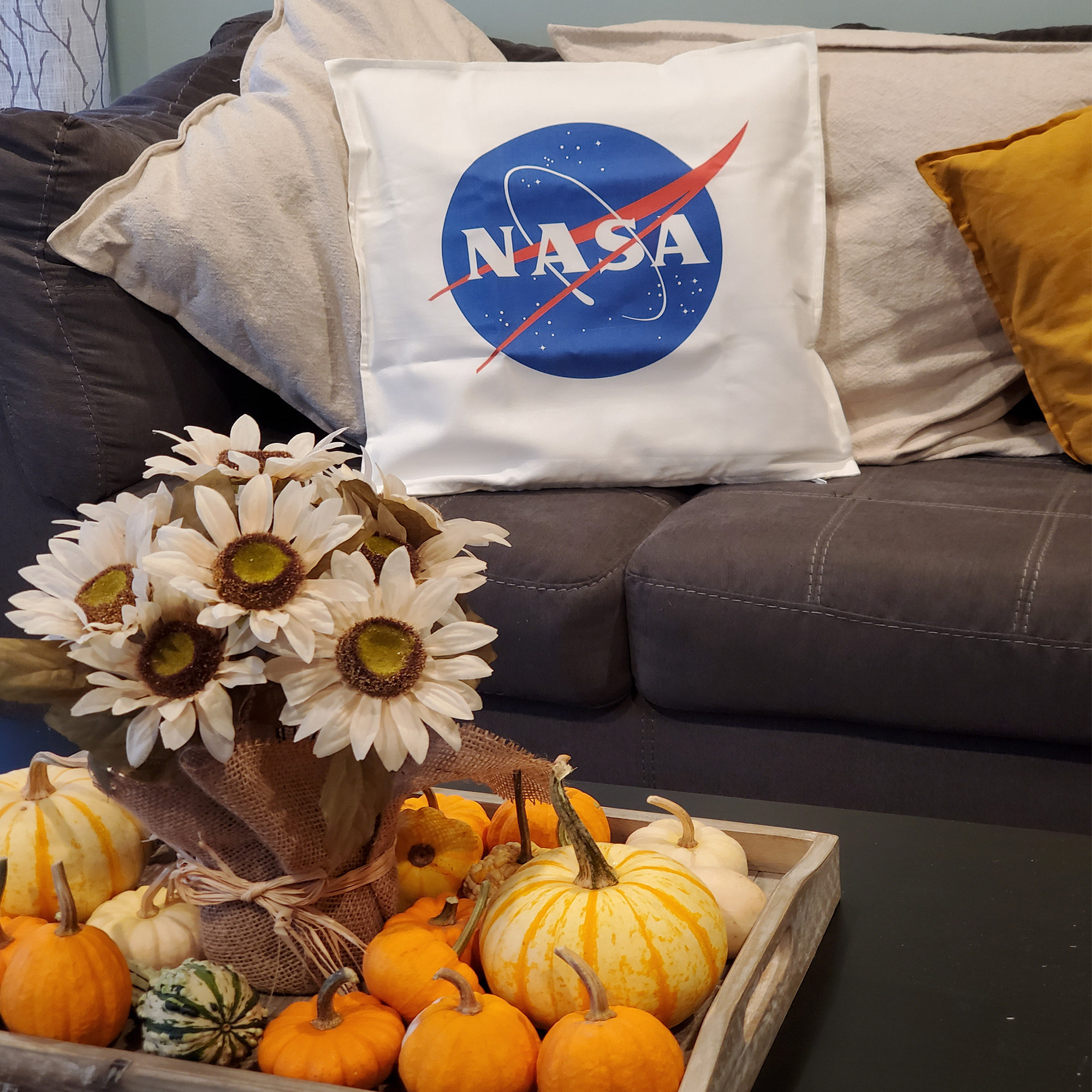 NASA Signature Meatball Logo Geek 20x20 Home Decor Throw Pillow Cushion ...