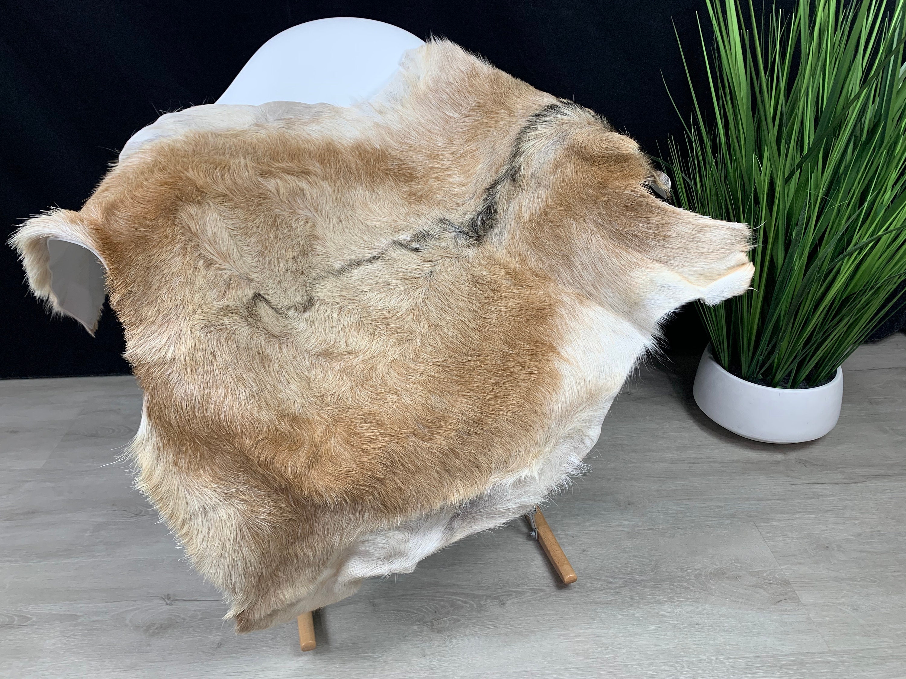 Goat Brown White Rug Pelt Hide Real Goat Skin Rug Genuine | Etsy