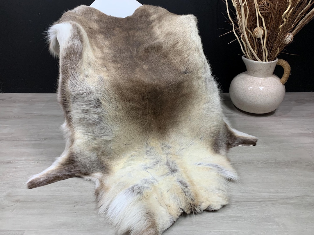 Genuine Reindeer Pelt Rug - Unique Scandinavian Hide, Ideal Decorative ...