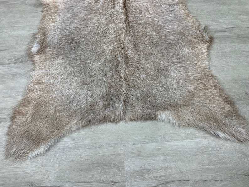 Goat Rug Pelt Hide Real Goat Skin Rug Genuine Natural Goat | Etsy