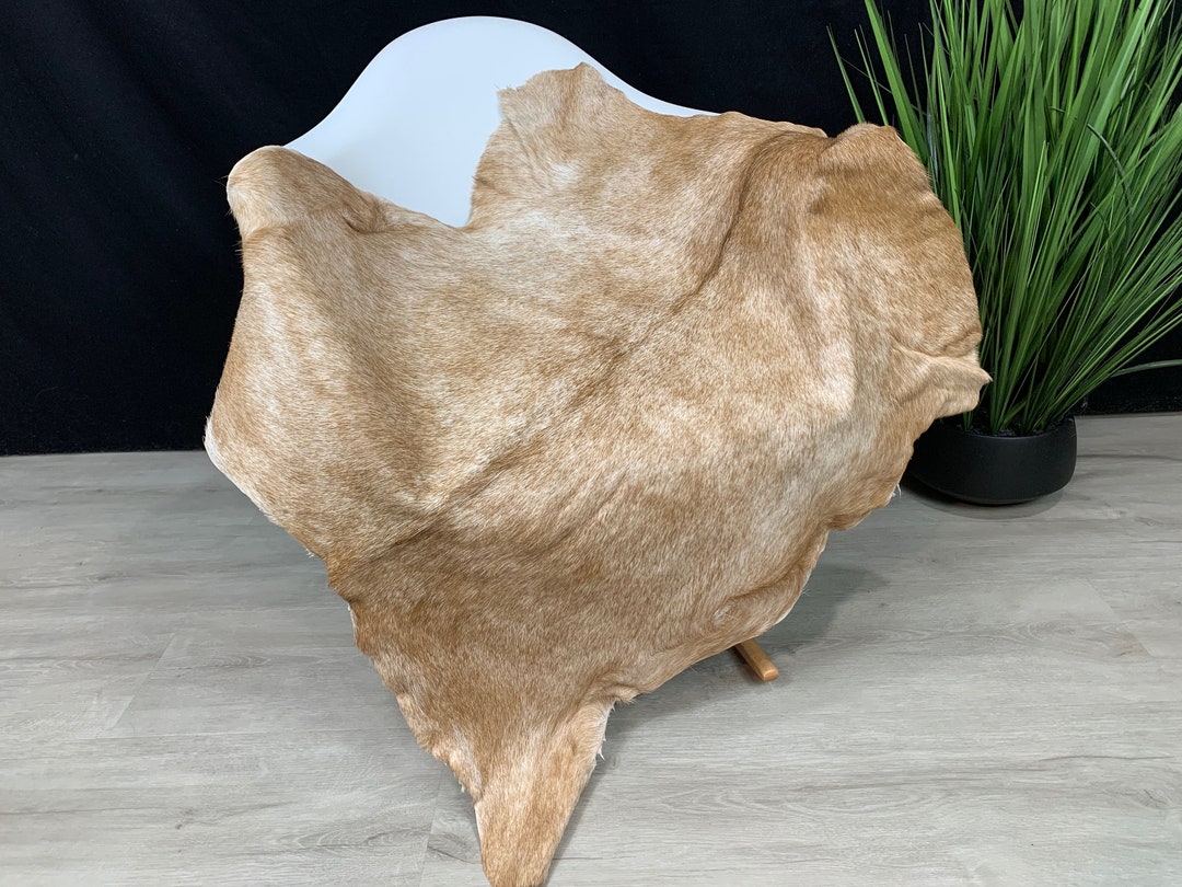 Goat Rug Pelt Hide, Real Goat Skin Rug, Genuine Natural Goat Hide - Etsy