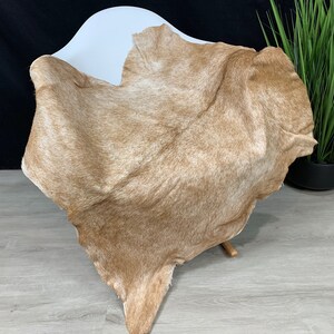 Goat Rug Pelt Hide, Real Goat Skin Rug, Genuine Natural Goat Hide - Etsy