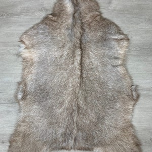 Goat Rug Pelt Hide Real Goat Skin Rug Genuine Natural Goat | Etsy