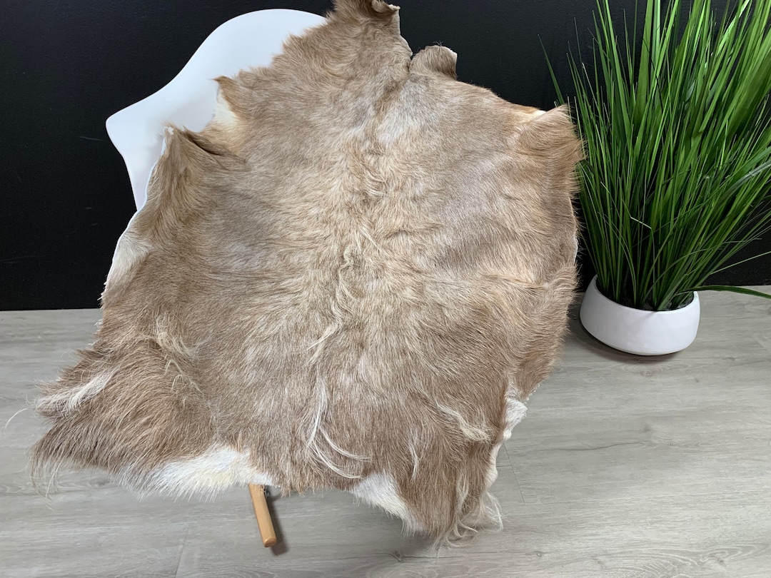 Goat Rug Pelt Hide, Real Goat Skin Rug, Genuine Natural Goat Hide - Etsy