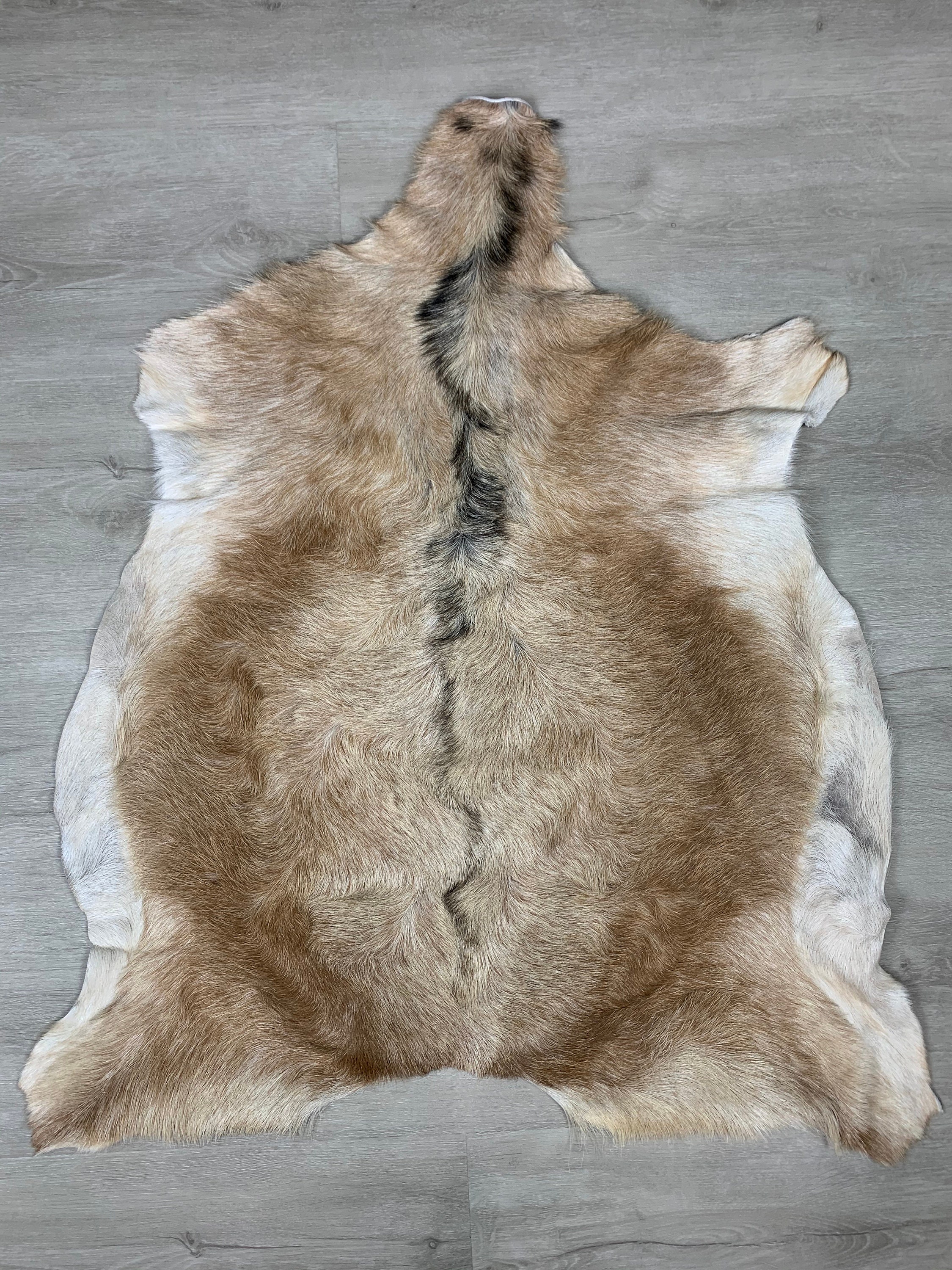 Goat Brown White Rug Pelt Hide Real Goat Skin Rug Genuine | Etsy