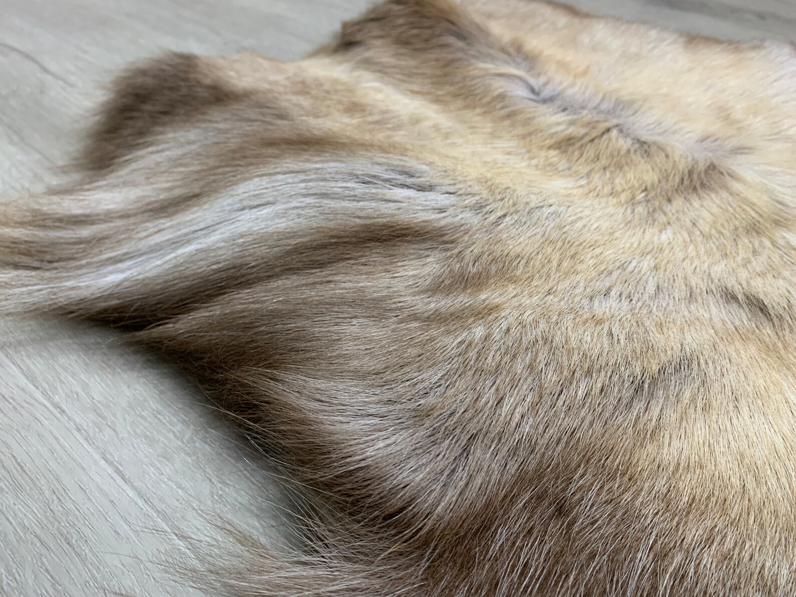 Genuine Scandinavian Reindeer Hide - Etsy