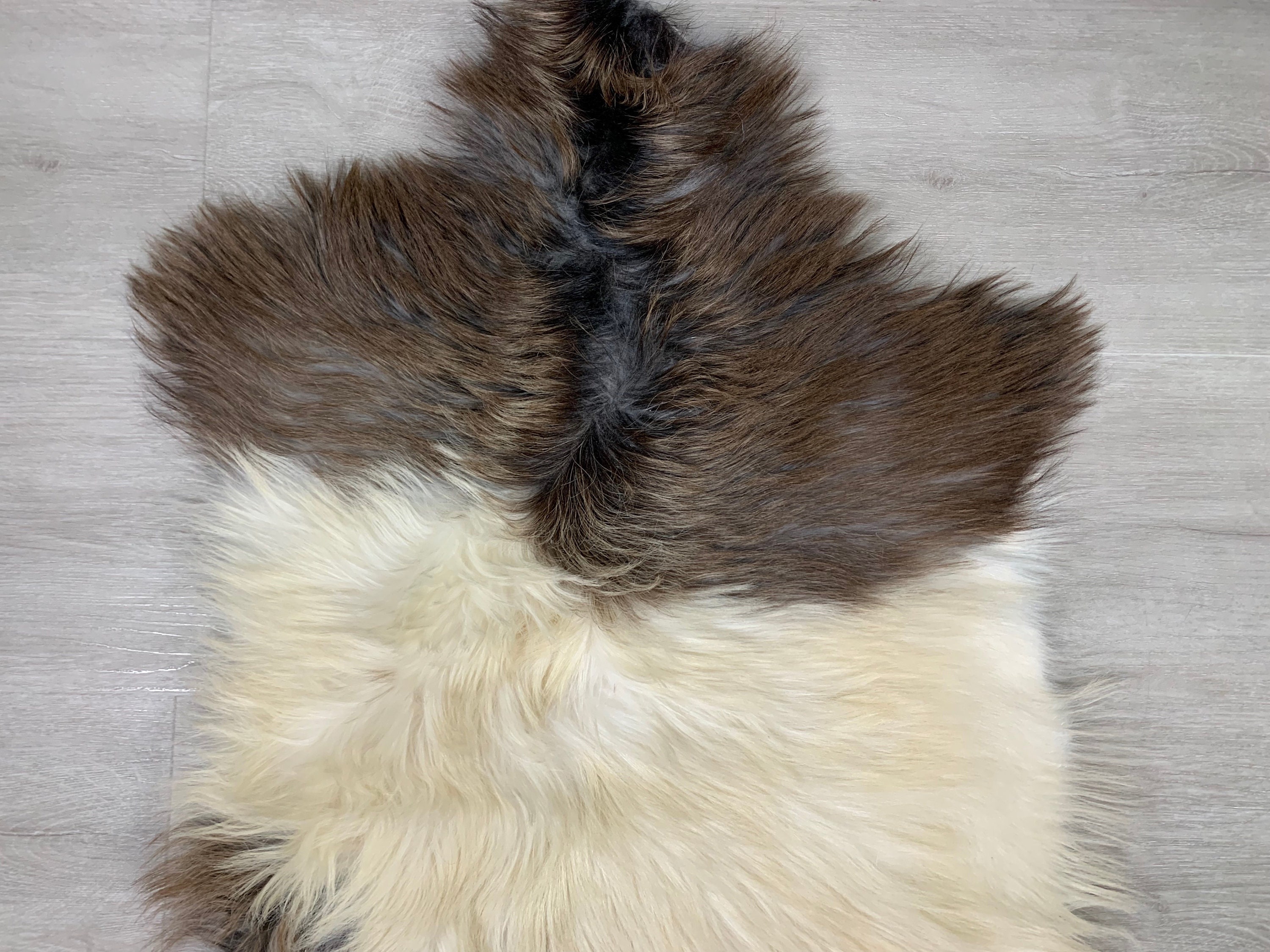 Goat Rug Pelt Hide Real Goat Skin Rug Genuine Natural Goat - Etsy