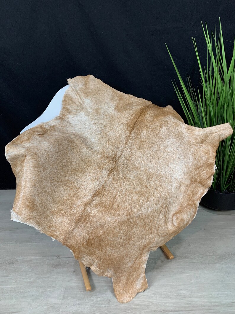 Goat Rug Pelt Hide Real Goat Skin Rug Genuine Natural Goat - Etsy