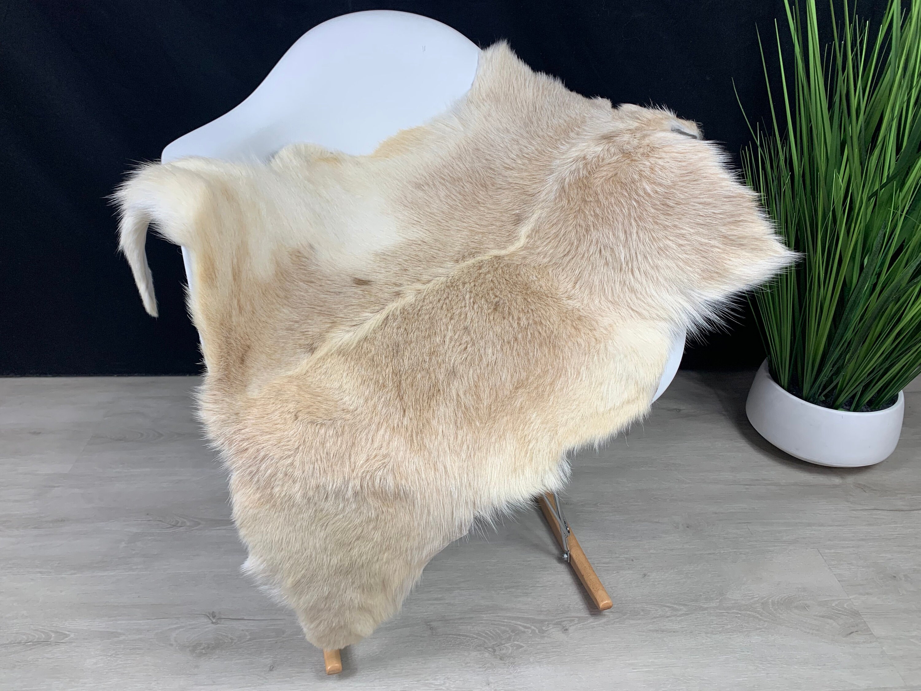 Goat Rug Pelt Hide Real Goat Skin Rug Genuine Natural Goat | Etsy