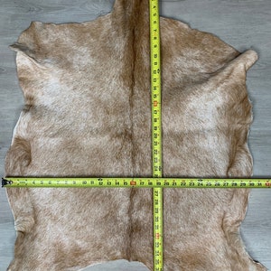 Goat Rug Pelt Hide, Real Goat Skin Rug, Genuine Natural Goat Hide - Etsy