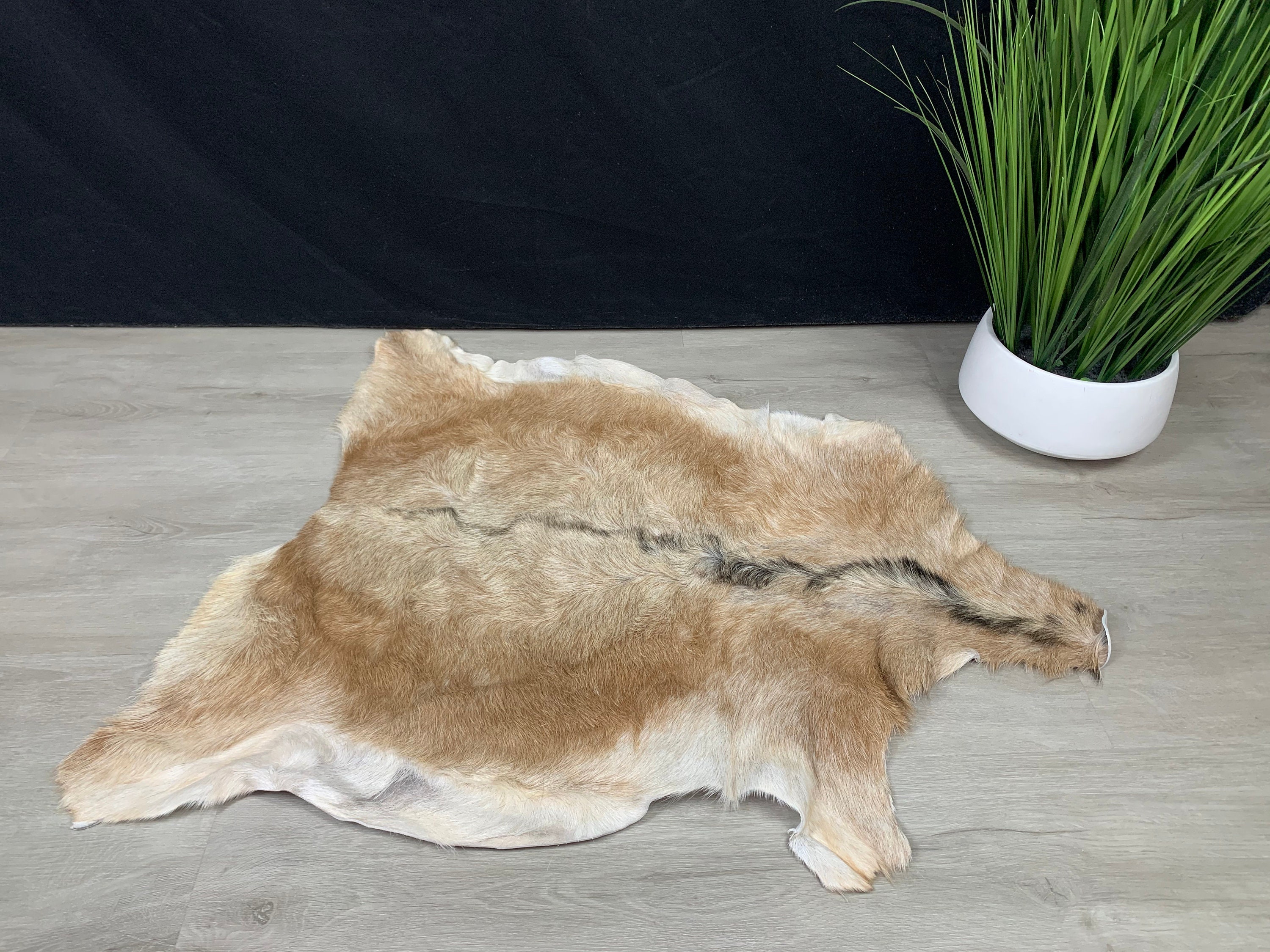 Goat Brown White Rug Pelt Hide Real Goat Skin Rug Genuine | Etsy