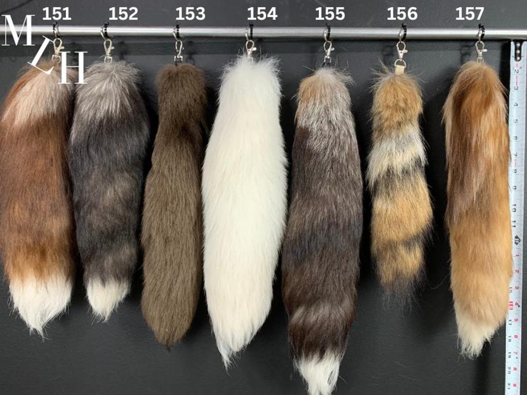 Real Fox Tails Keychain Large Authentic Fox Tails Fur Accessory for ...