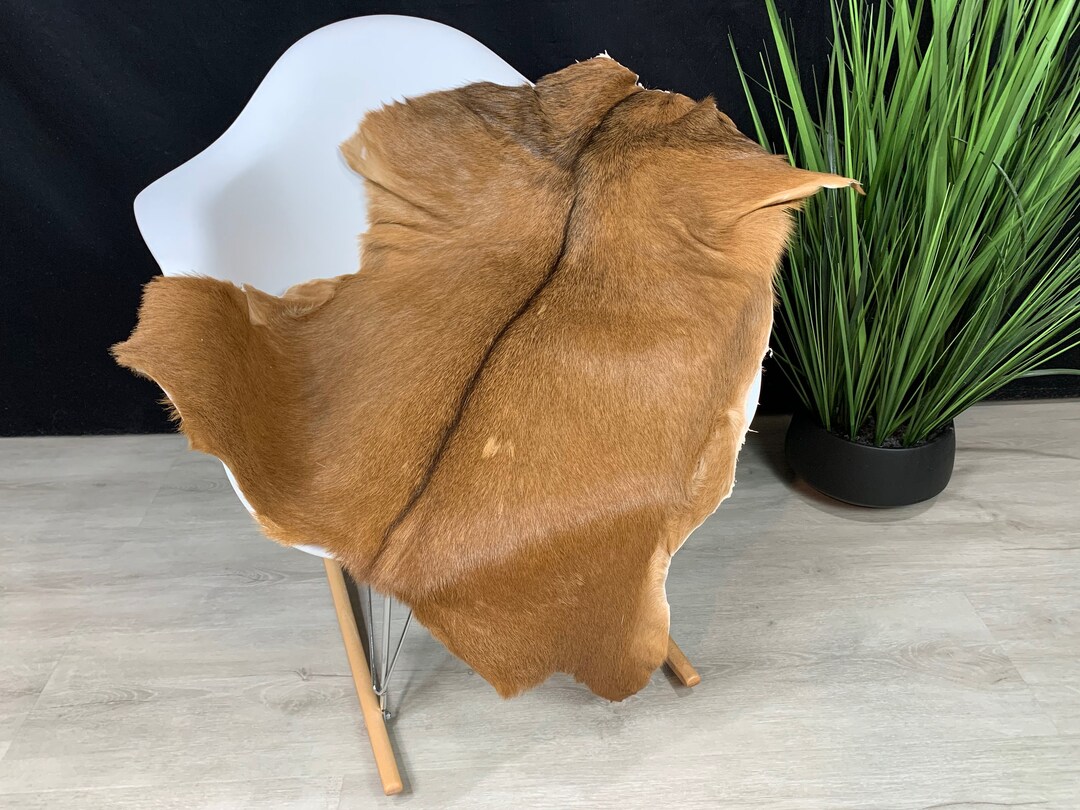 Goat Rug Pelt Hide, Real Goat Skin Rug, Genuine Natural Goat Hide Floor ...