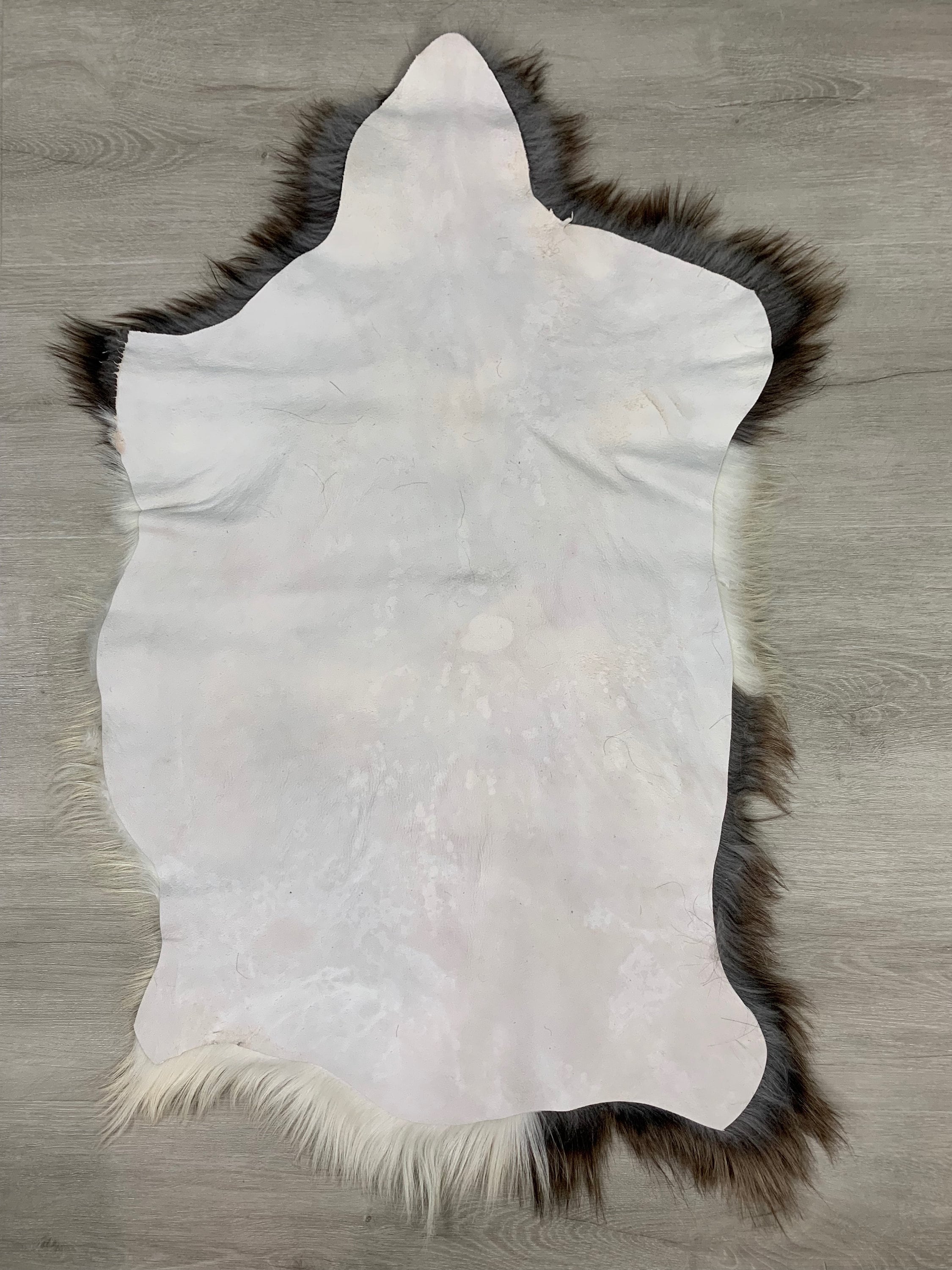 Goat Rug Pelt Hide Real Goat Skin Rug Genuine Natural Goat - Etsy