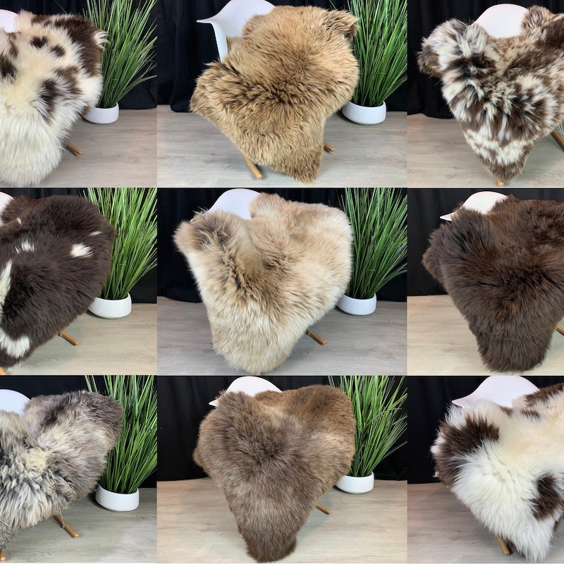 Real Sheep Pelts - Etsy
