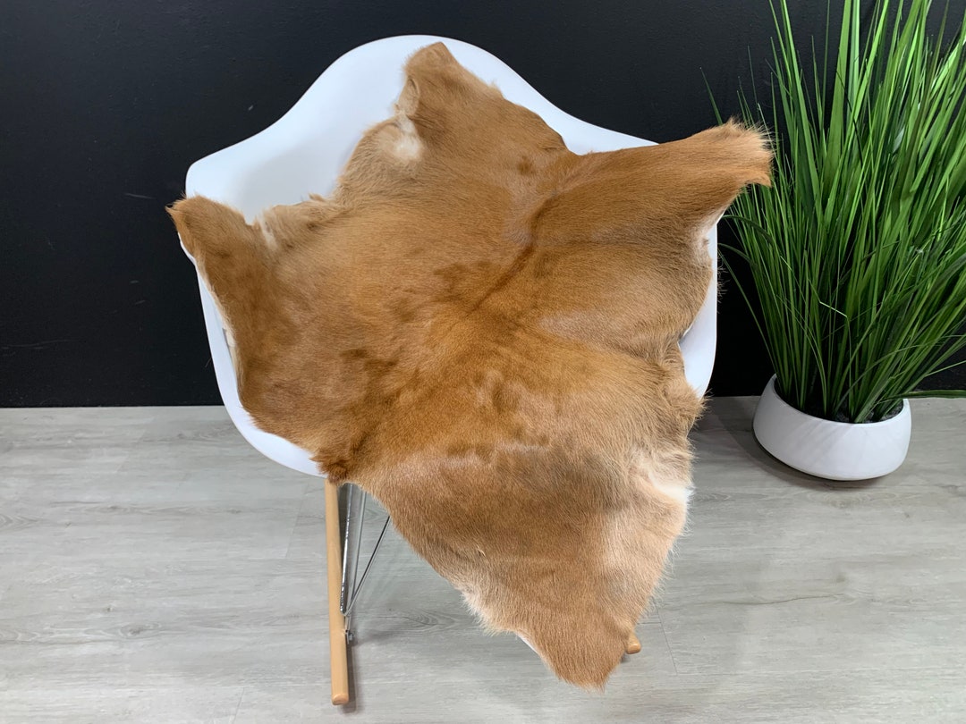 Goat Brown Rug Pelt Hide, Real Goat Skin Rug, Genuine Natural Goat Hide ...