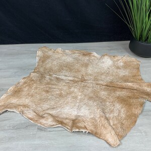Goat Rug Pelt Hide, Real Goat Skin Rug, Genuine Natural Goat Hide - Etsy