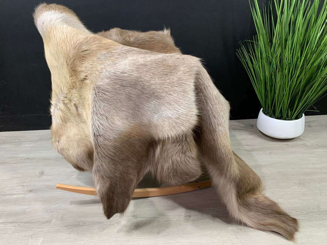 Genuine Scandinavian Reindeer Hide - Etsy
