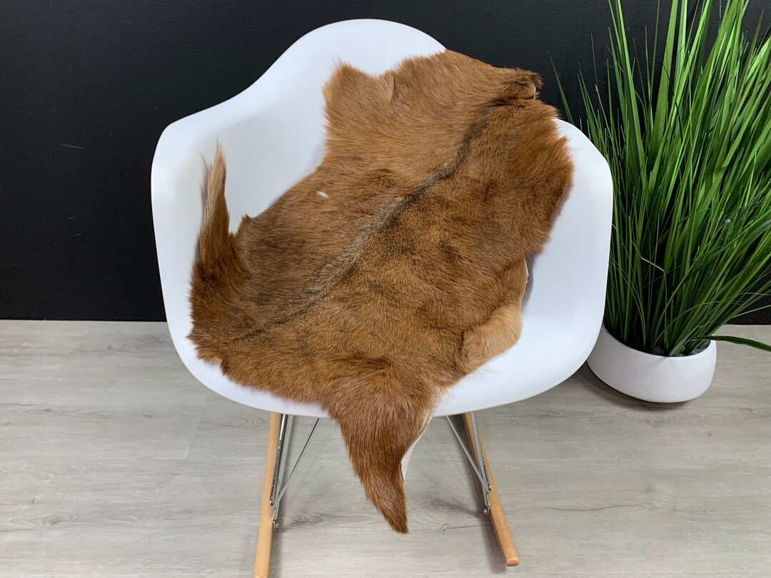 Goat Rug Pelt Hide, Real Goat Skin Rug, Genuine Natural Goat Hide - Etsy