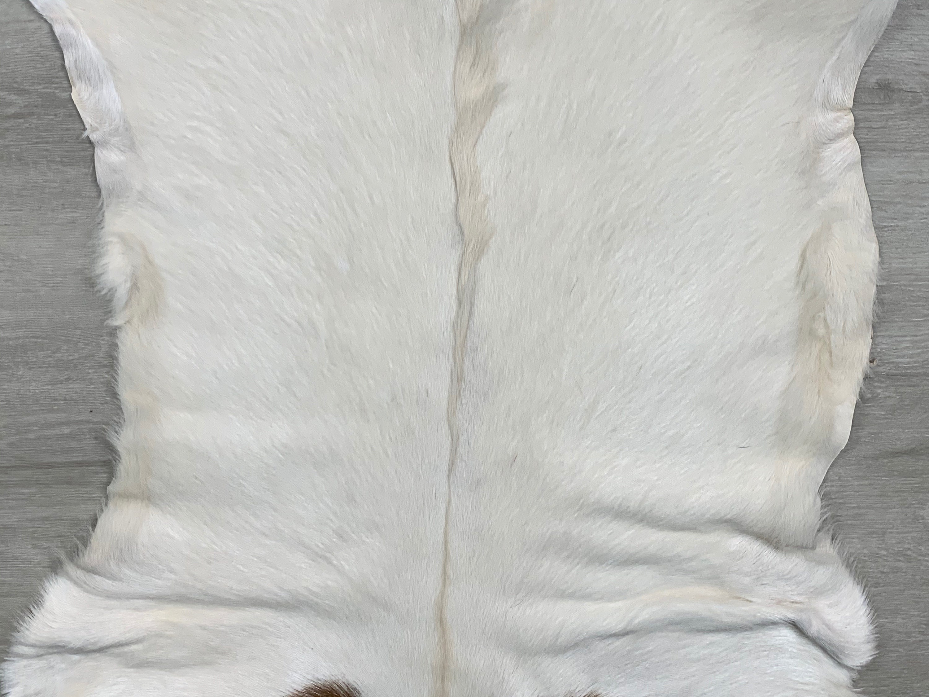 Goat White Brown Rug Pelt Hide Real Goat Skin Rug Genuine | Etsy