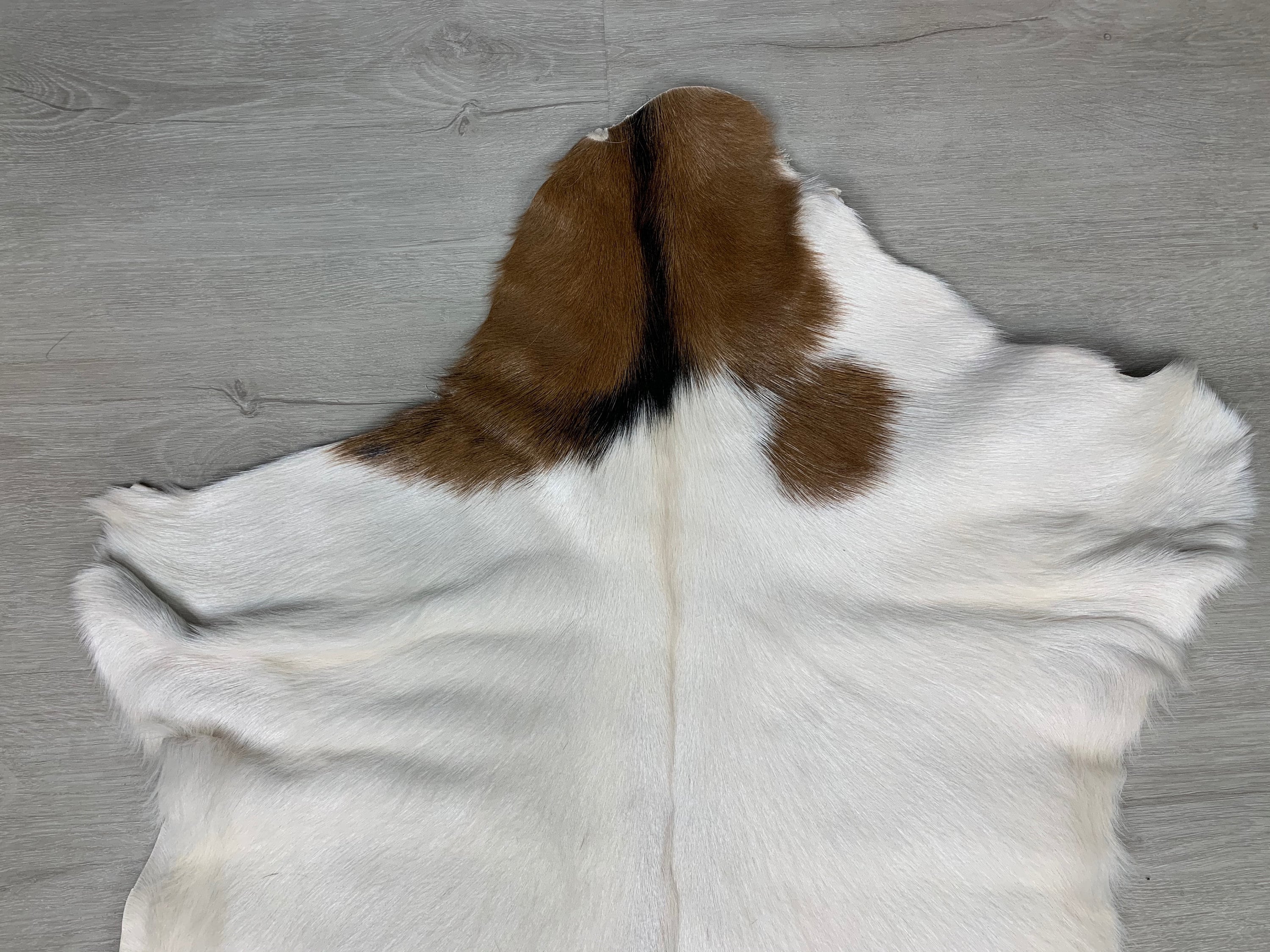 Goat White Brown Rug Pelt Hide Real Goat Skin Rug Genuine | Etsy