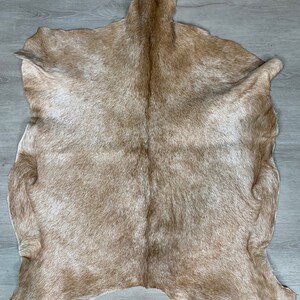 Goat Rug Pelt Hide, Real Goat Skin Rug, Genuine Natural Goat Hide - Etsy