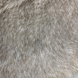 Goat Rug Pelt Hide Real Goat Skin Rug Genuine Natural Goat | Etsy