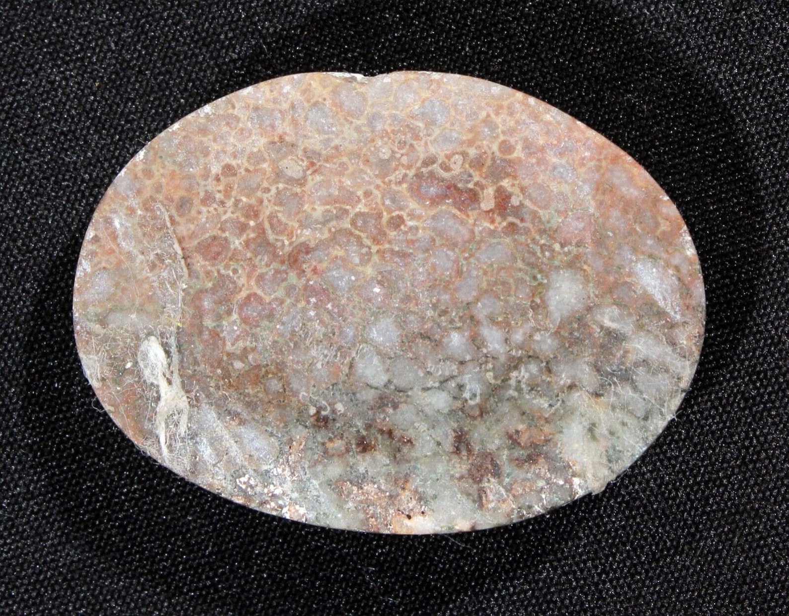 35.1 Ct Petrified Dinosaur Bone Cab Cabochon From Utah Old Collection ...