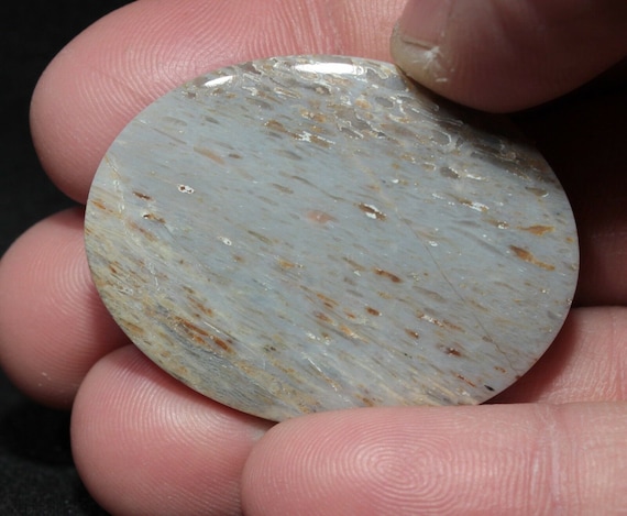 48.7 Ct Petrified Dinosaur Bone Cab Cabochon From Utah Old - Etsy