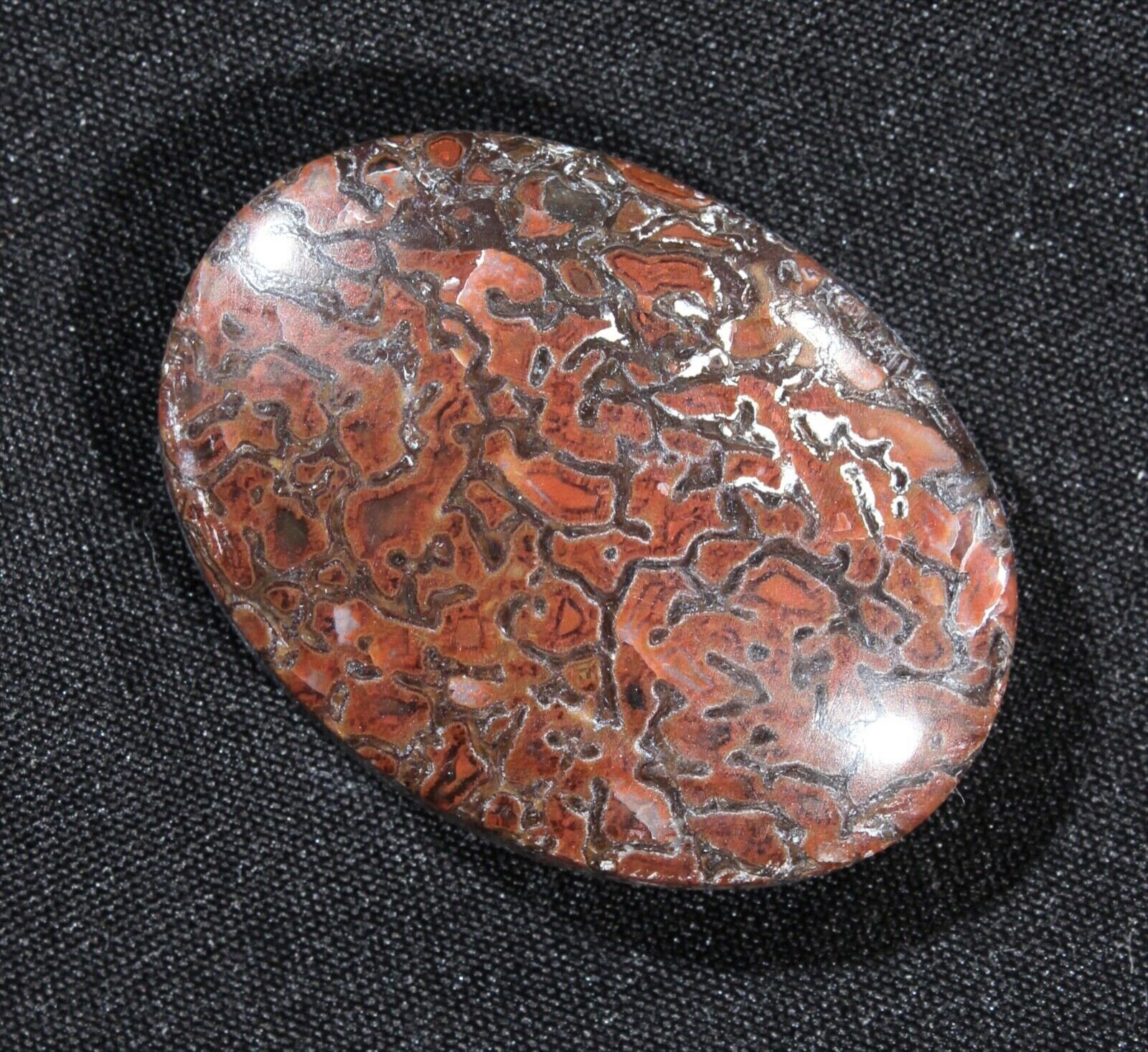 Red 39.6 Ct Petrified Dinosaur Bone Cab Cabochon With Cell - Etsy
