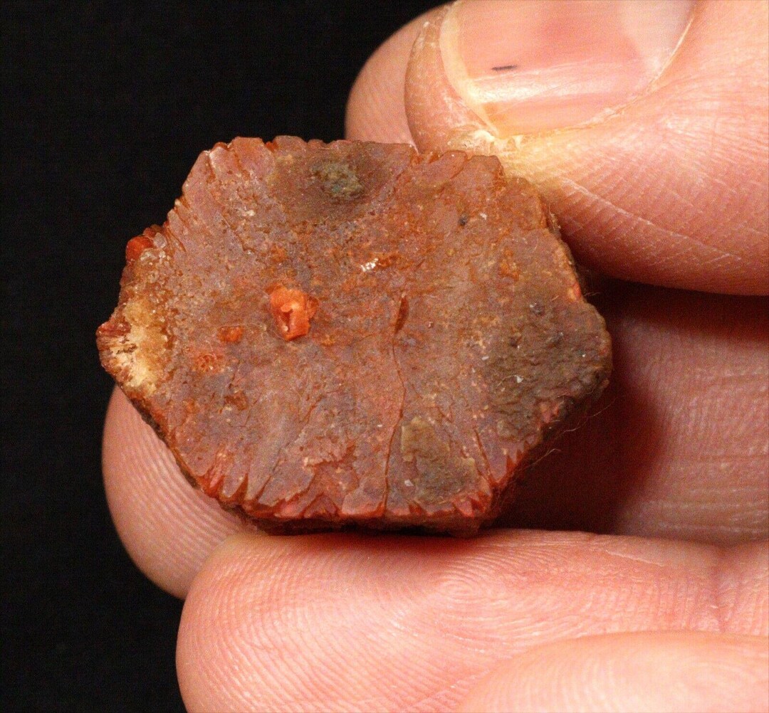 2.5 Cm Jasper Chalcedony After Aragonite From Moab, Utah - Hexagonal ...