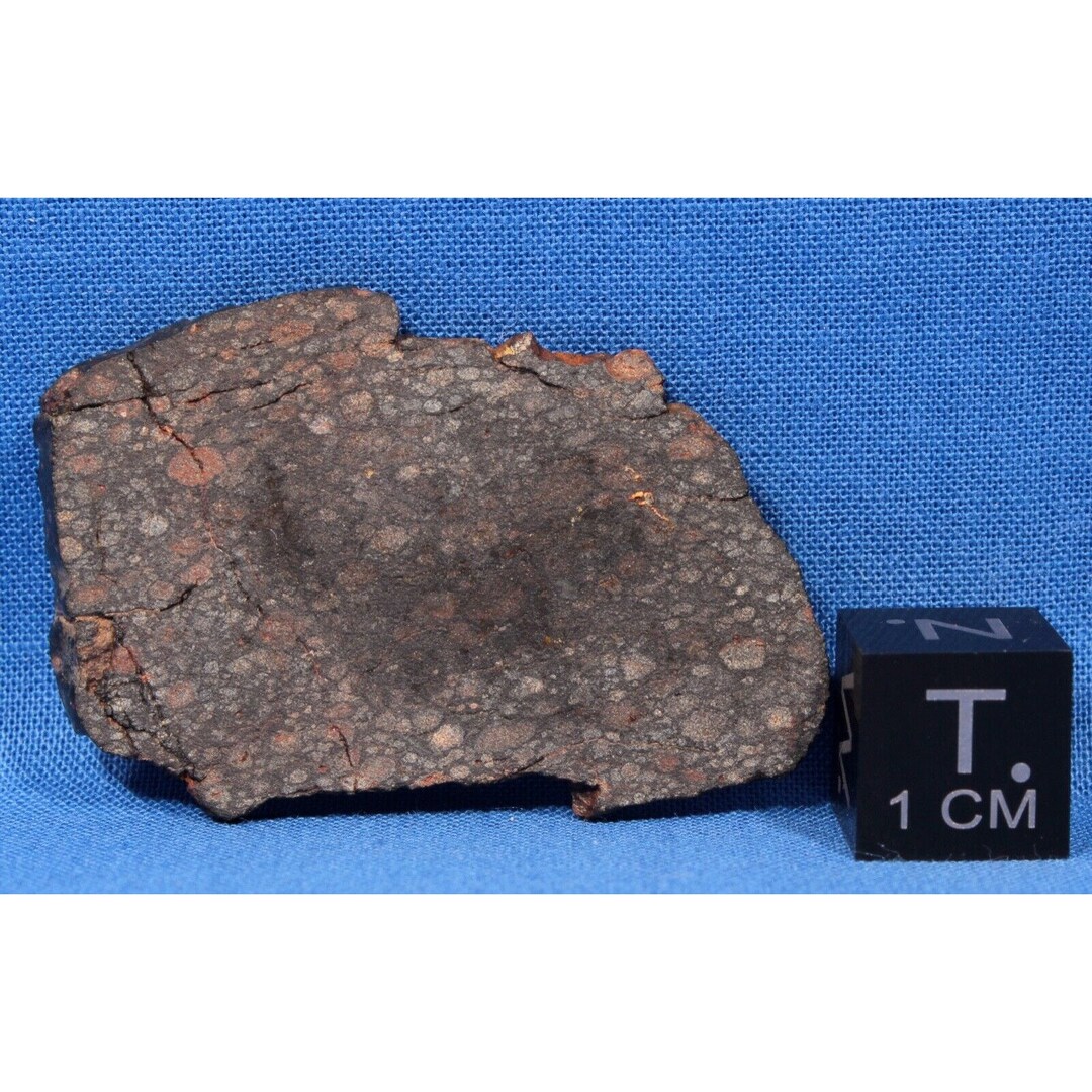 6.17 Gram NWA 6870 Full Meteorite Slice - CV3 Carbonaceous Chondrite ...