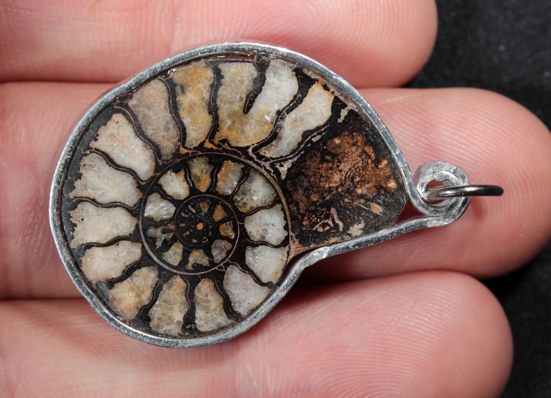 Beautiful Sliced Ammonite Pendant From Morocco - 2.7 Cm - Fossil Gift ...