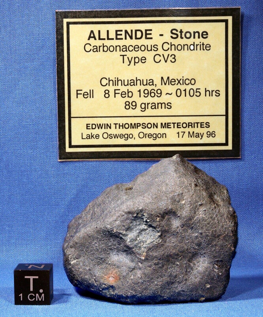 89.5 Gram Allende Individual W/ Fusion Crust (cv3 Carbonaceous ...