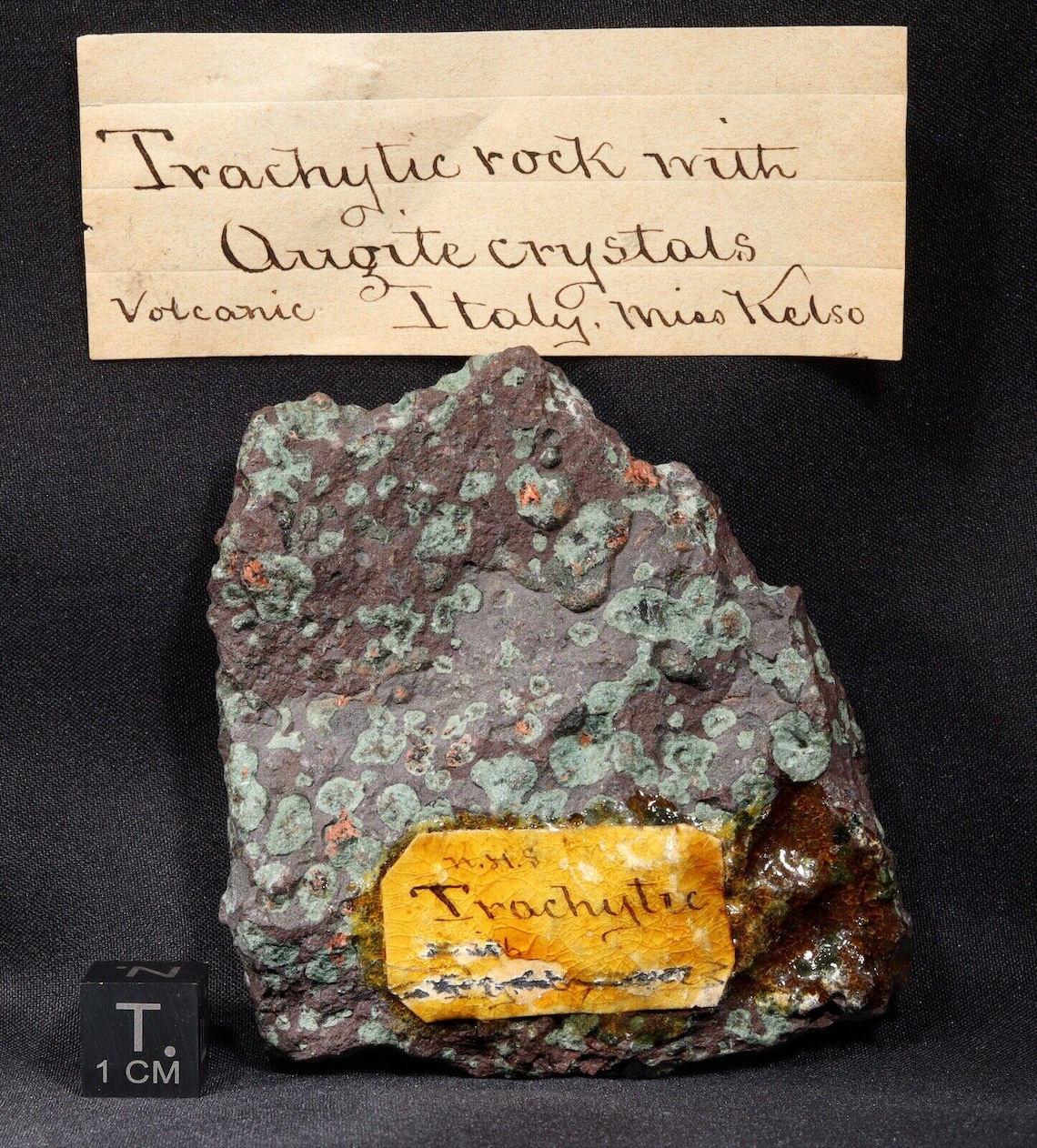 Volcanic Rock (trachytic) With Augite Crystals From Italy - Label Late ...