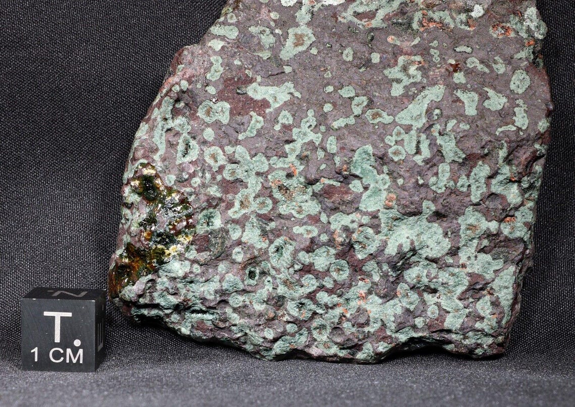 Volcanic Rock (trachytic) With Augite Crystals From Italy - Label Late ...