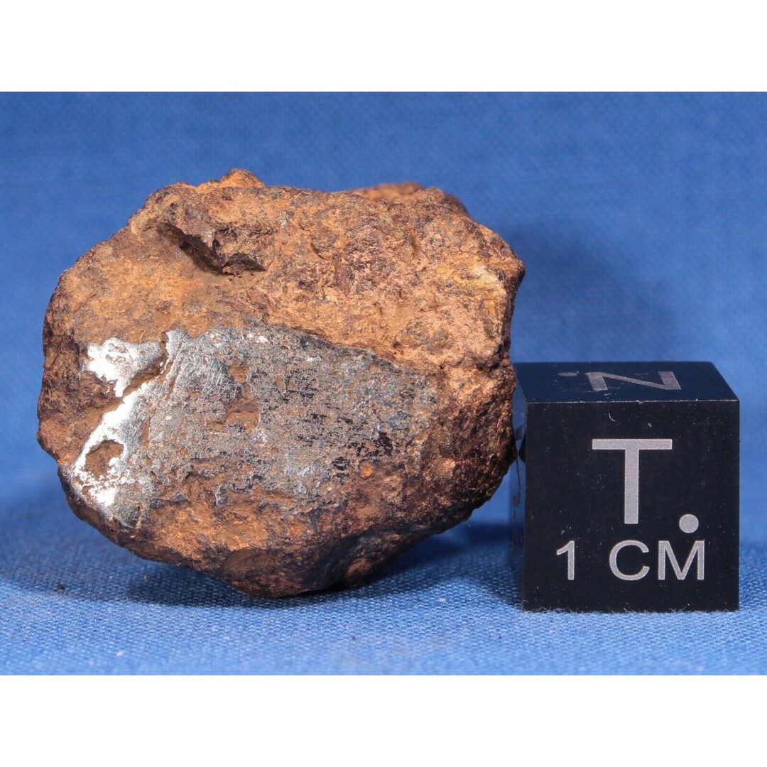 21.4 Gram Vaca Muerta Meteorite End Slice - Mesosiderite Antofagasta ...