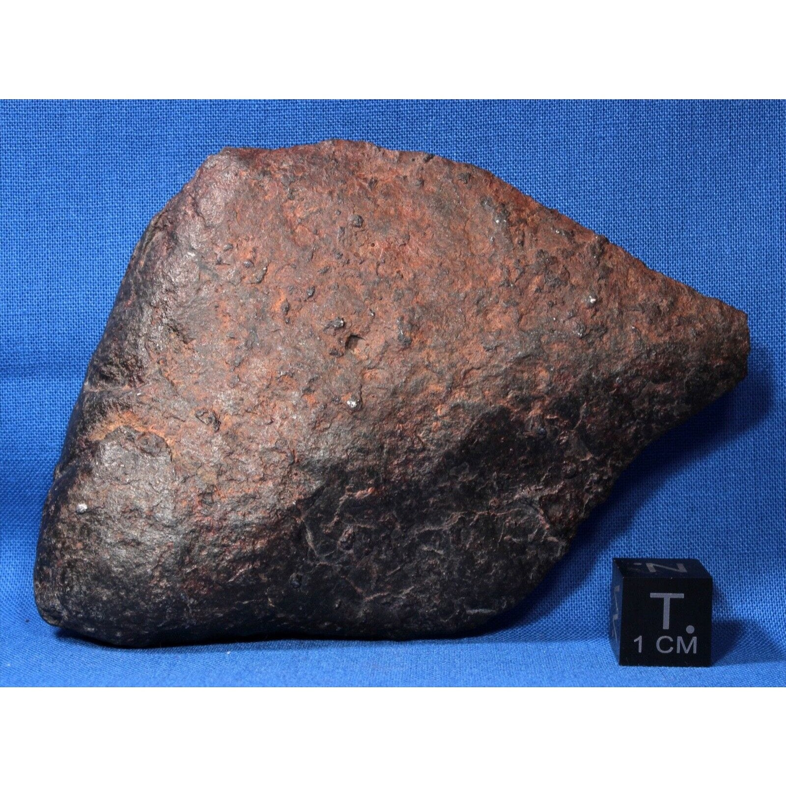 82.8 Gram NWA 4860 Meteorite End Slice Chondrite L4 Found 2003 - Etsy