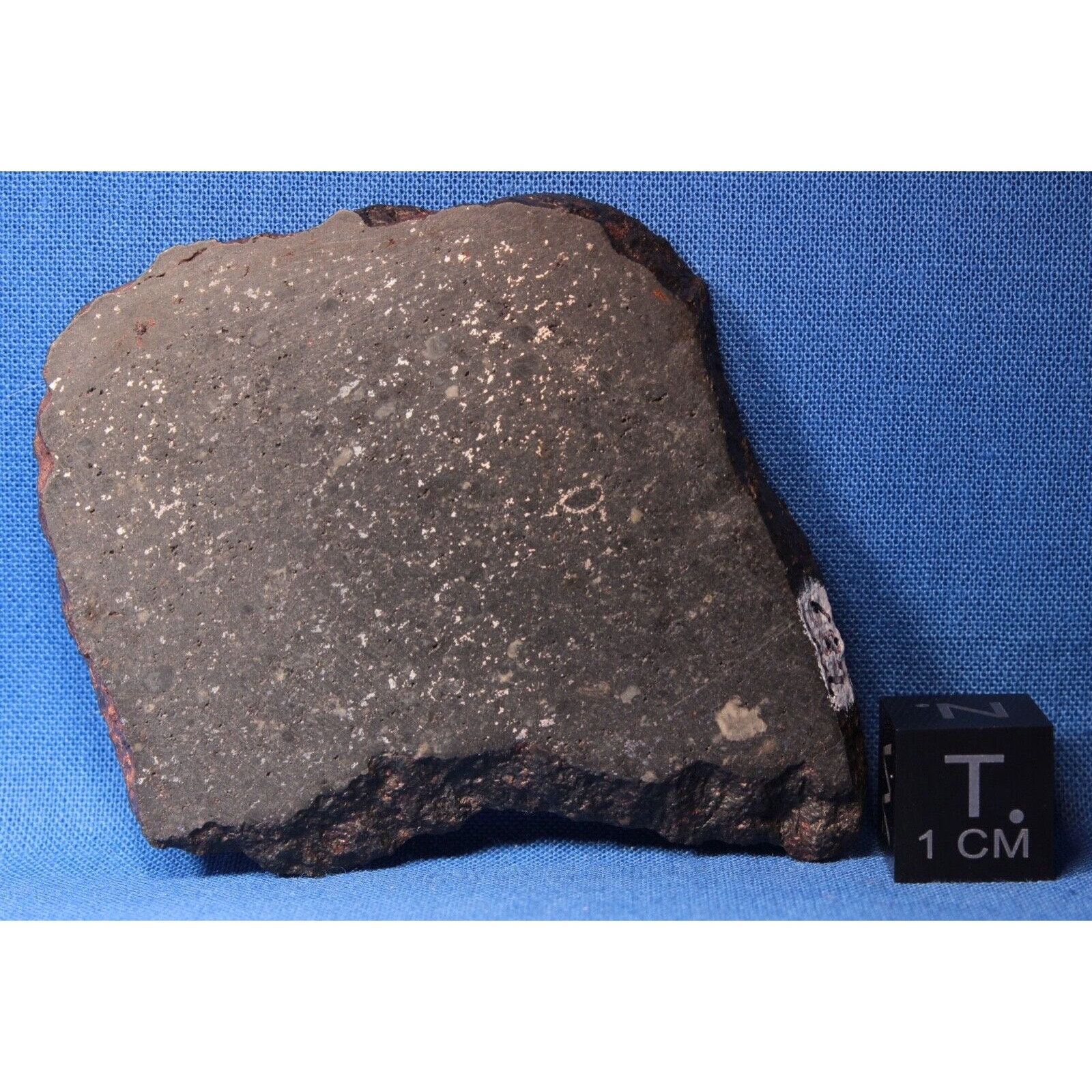 23.6 Gram NWA 2271 Full Meteorite Slice Chondrite L4 Low Weight NWA - Etsy