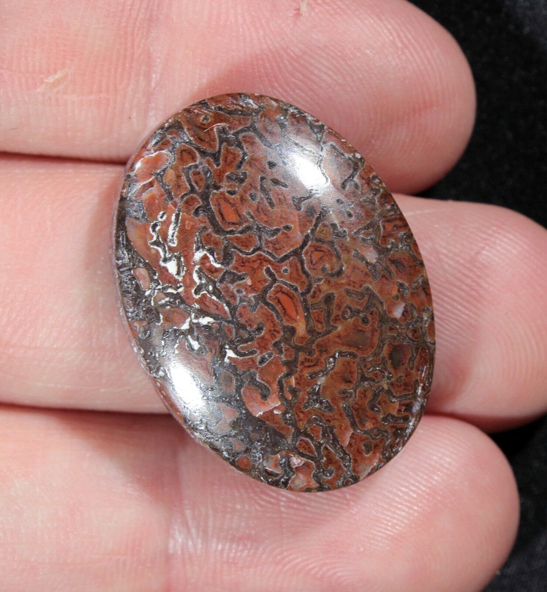 Red 39.6 Ct Petrified Dinosaur Bone Cab Cabochon With Cell Structure ...