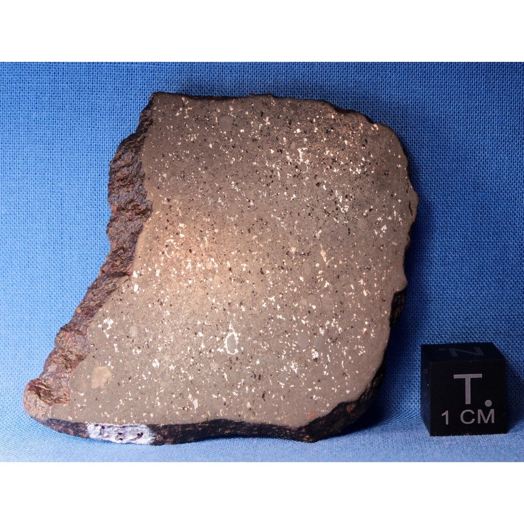 23.6 Gram NWA 2271 Full Meteorite Slice - Chondrite L4 - Low Weight NWA ...