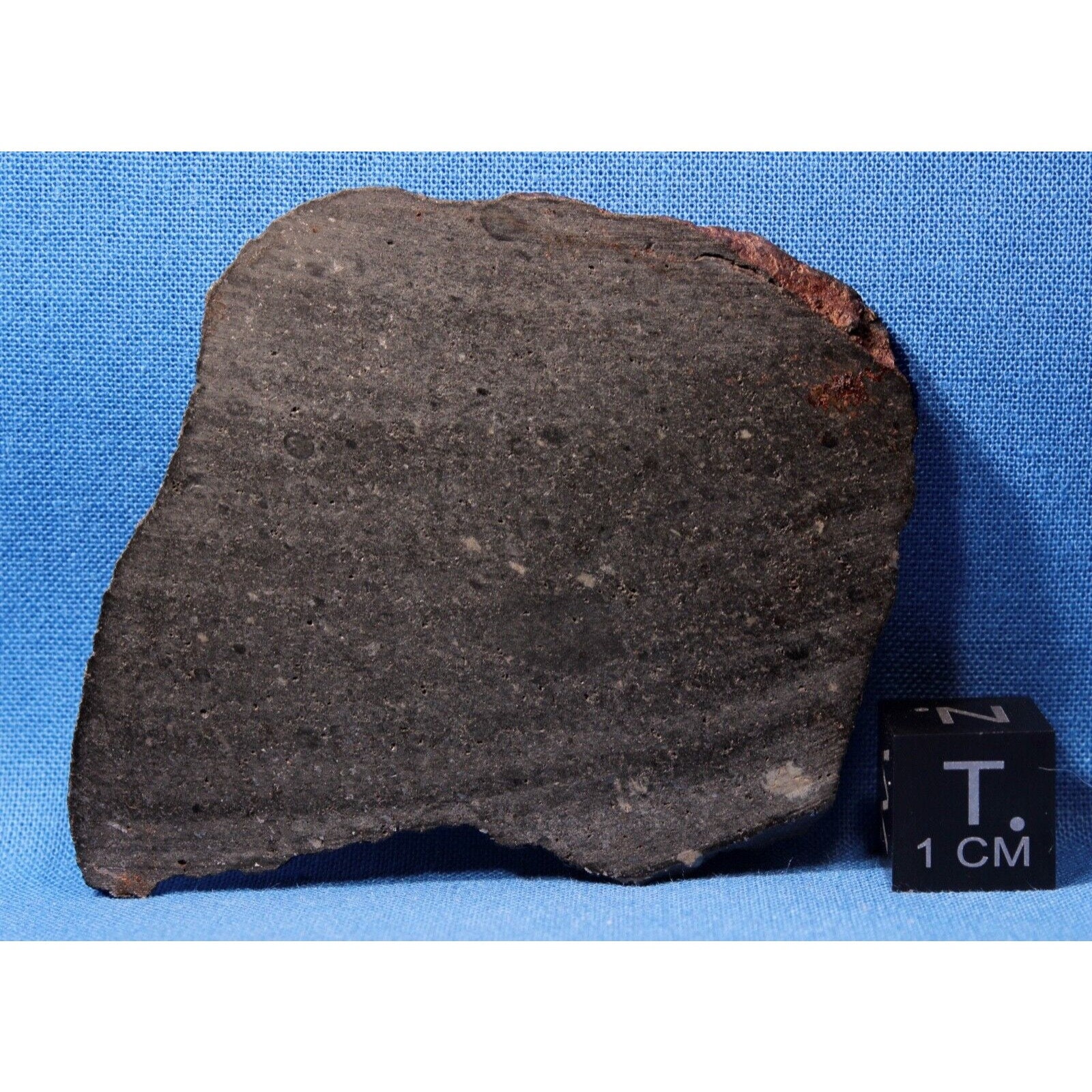 23.6 Gram NWA 2271 Full Meteorite Slice Chondrite L4 Low Weight NWA - Etsy