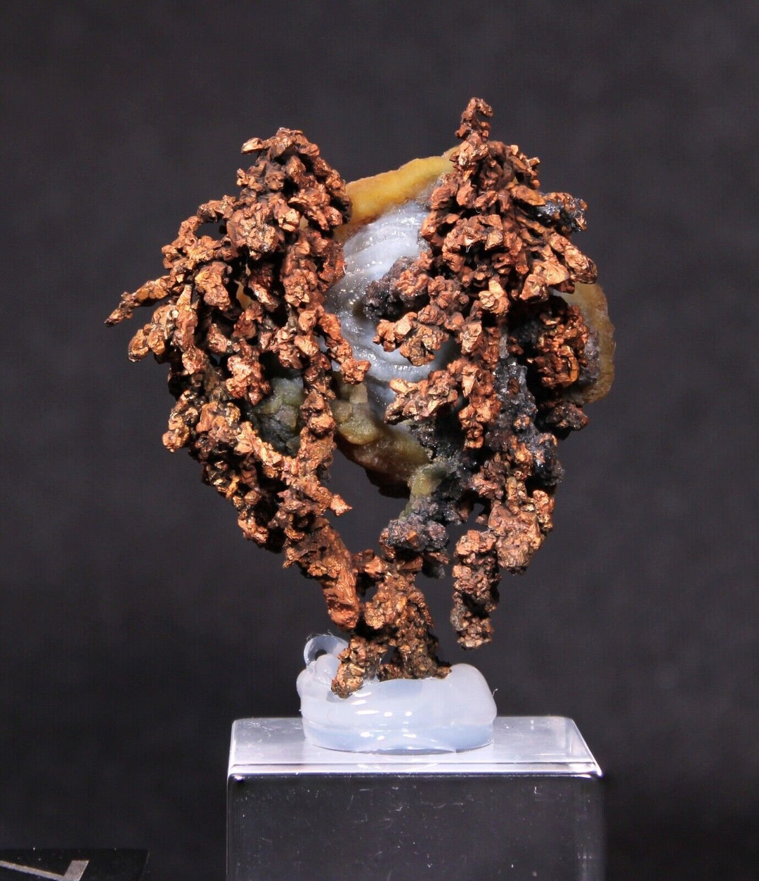 Dendritic Copper W/ Chalcedony From Mount Elliott Mine, Queensland ...