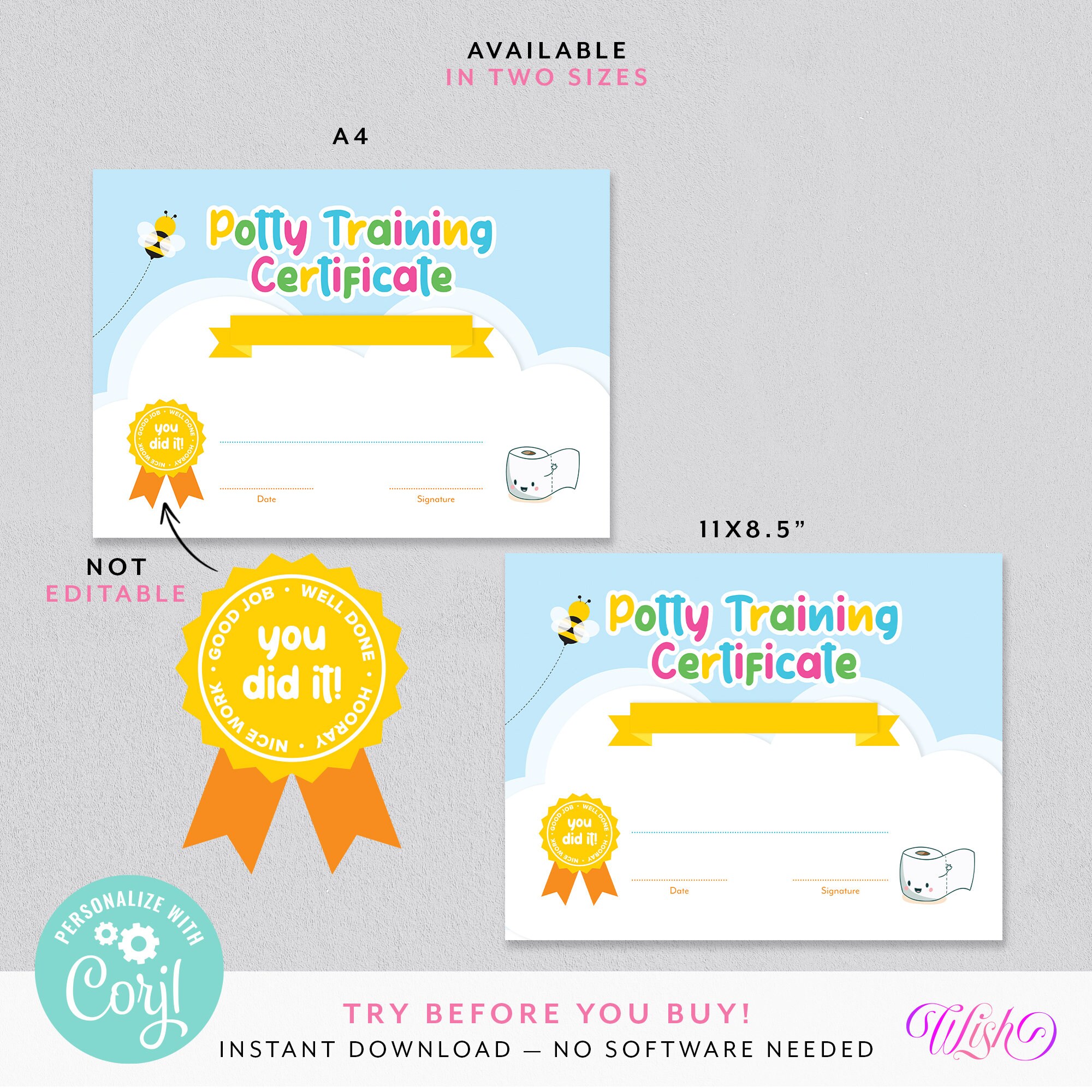 Printable Potty Training Certificate Toilet Training Reward - Etsy Canada