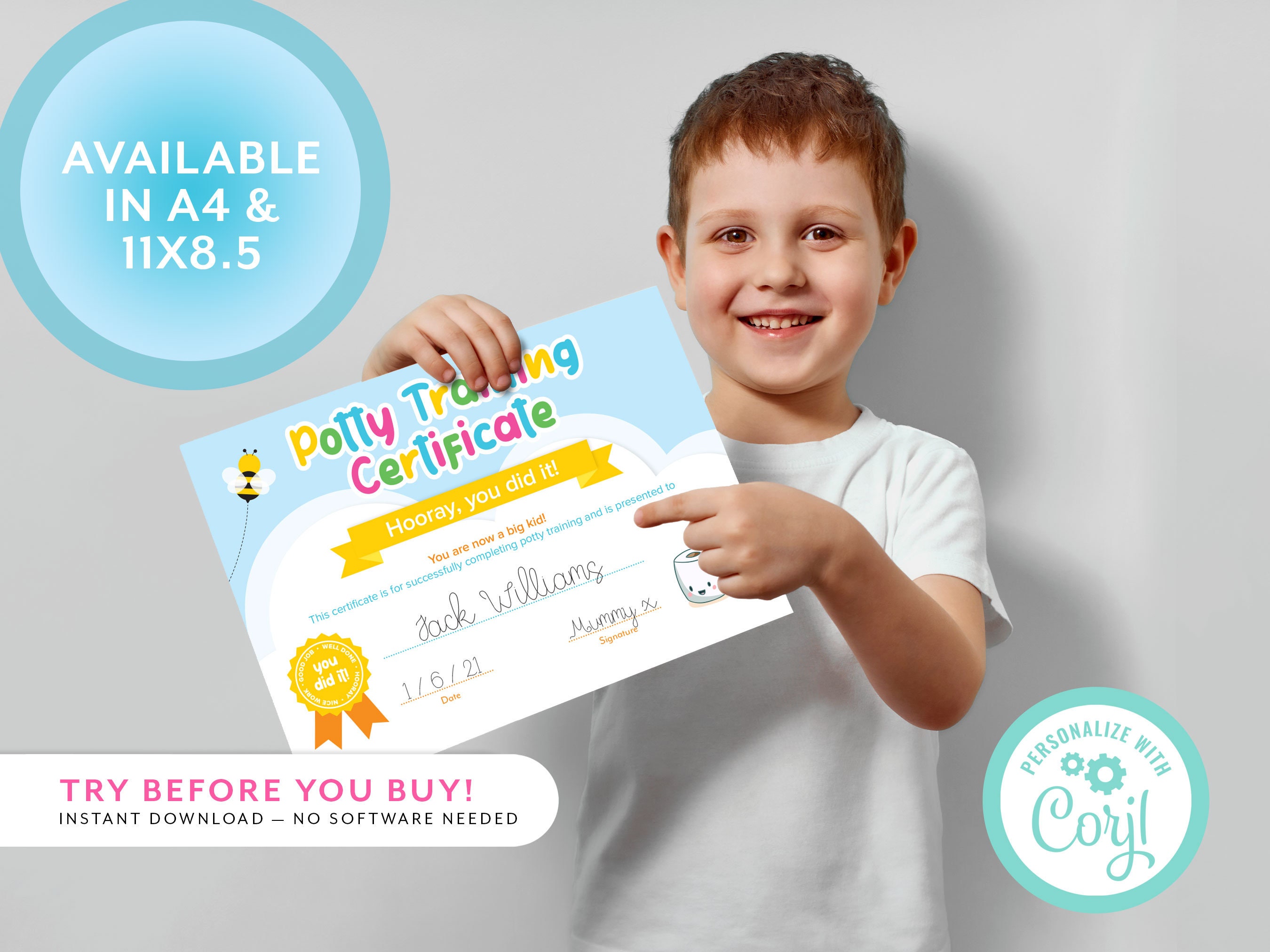 Printable Potty Training Certificate Toilet Training Reward - Etsy