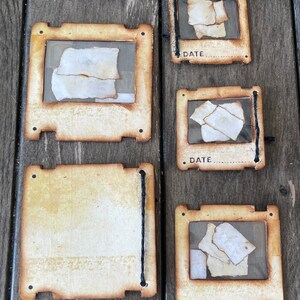 Unique Insect Specimen Cards - Etsy