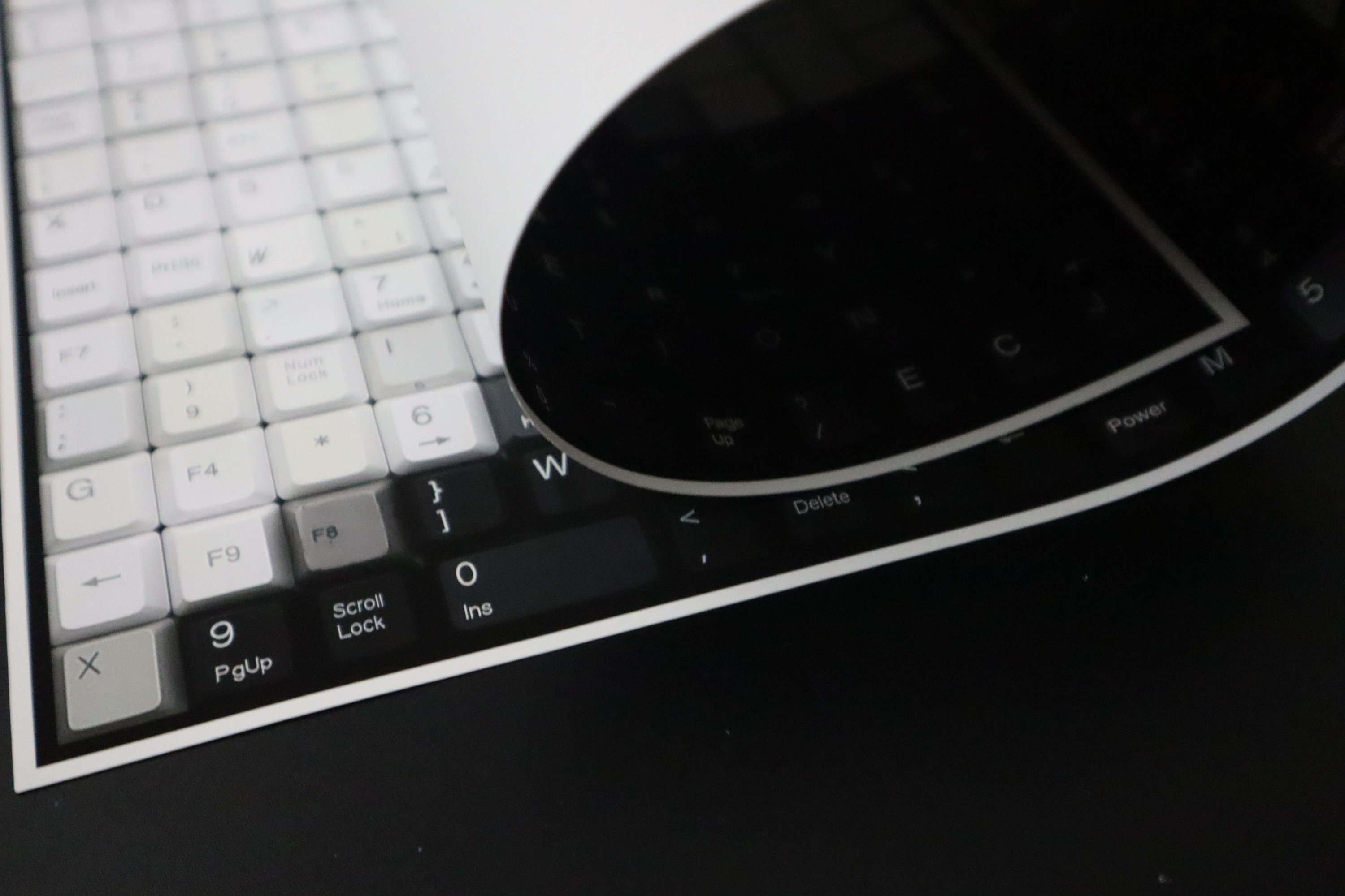 Steve Jobs/computer Keys Fine Art Print/wall Decor/gift for Computer ...